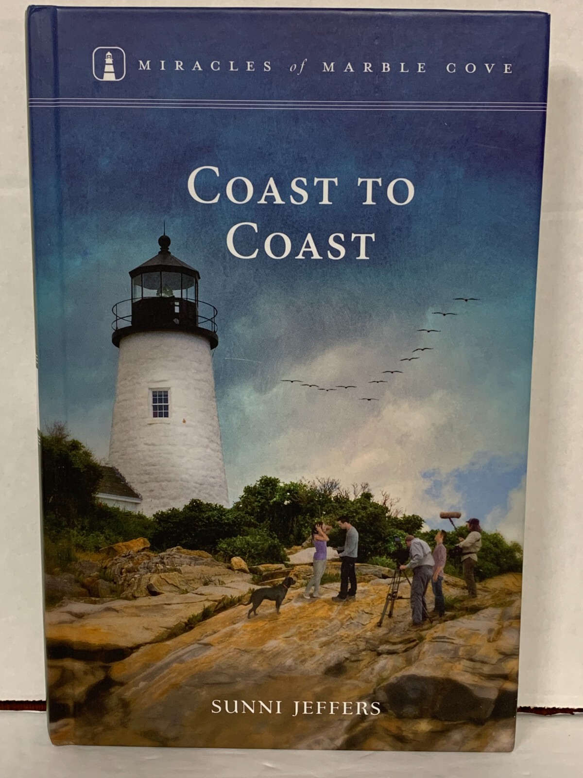 Miracles of Marble Cove Series Guidepost ~ Choose Your Own LIKE BRAND ...