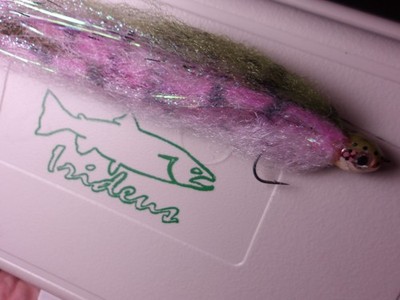 Morone Swimbait Two Soft baby trout drop shot Carolina rig 6 inches | eBay