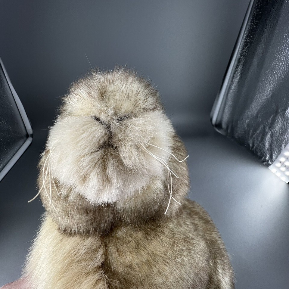 FAO Schwarz Fifth Avenue ~ Easter~ Bunny Rabbit Suffed Animal Plush Toy ...