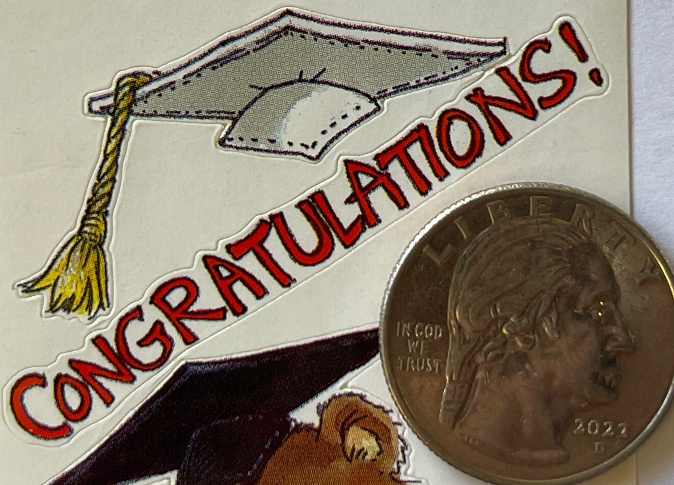 CONGRATULATIONS BEAR Sticker(7pc)2"x3.5"Suzy's Zoo •Card Making ...