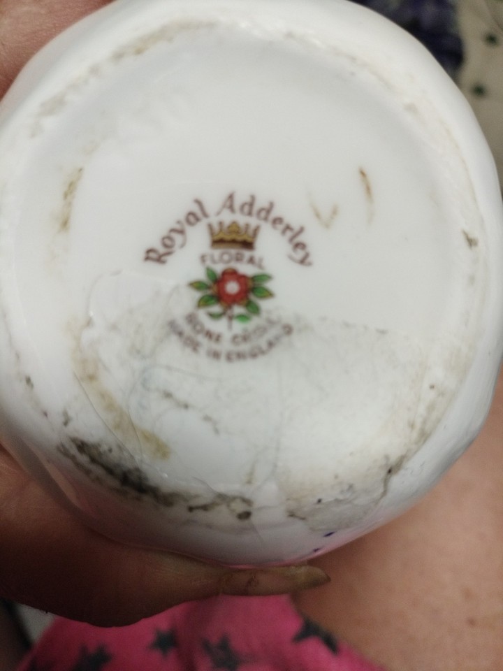 Royal Adderley Bone China Made In England Potted Flowers | eBay