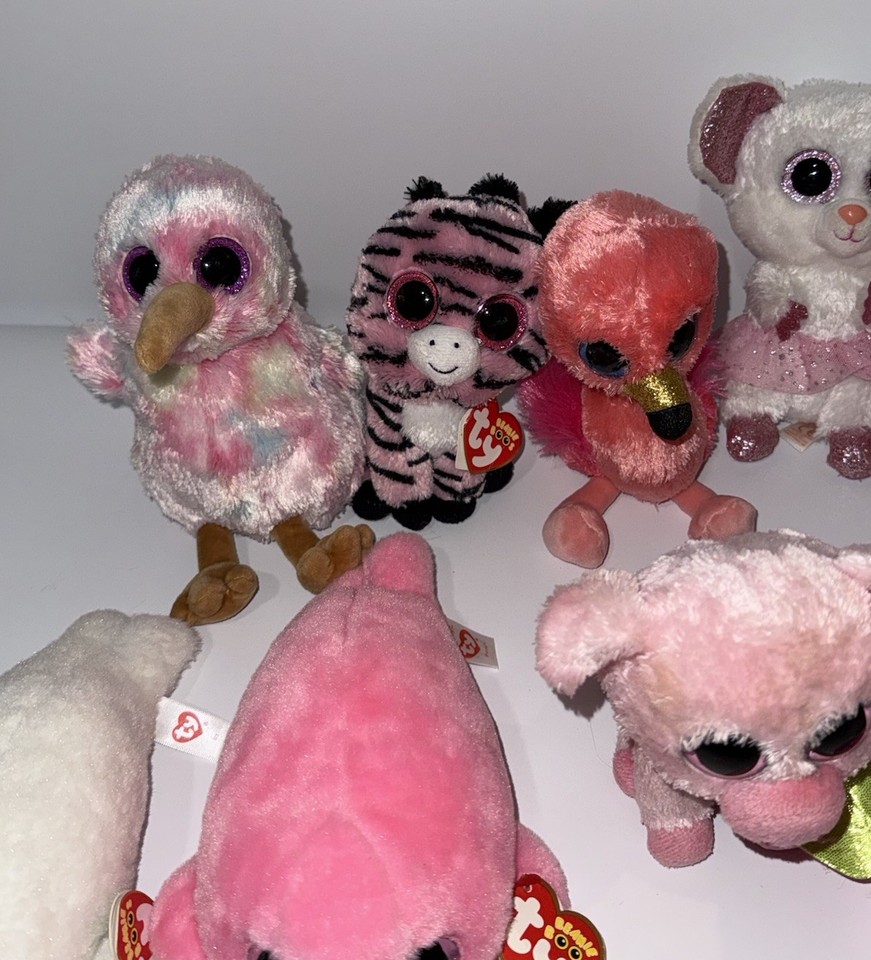 Ty Beanie Boo Lot Icy Pierre Nina Leeann Corky Kiwi Zoey Gilda Twiggy ...