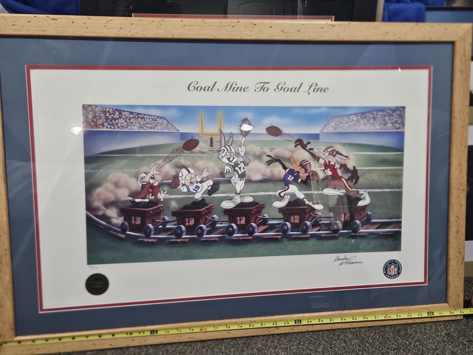 Looney Tunes 49ERS Jets Bill's Colts Dolphins 39x26 Inches Framed 914/ ...