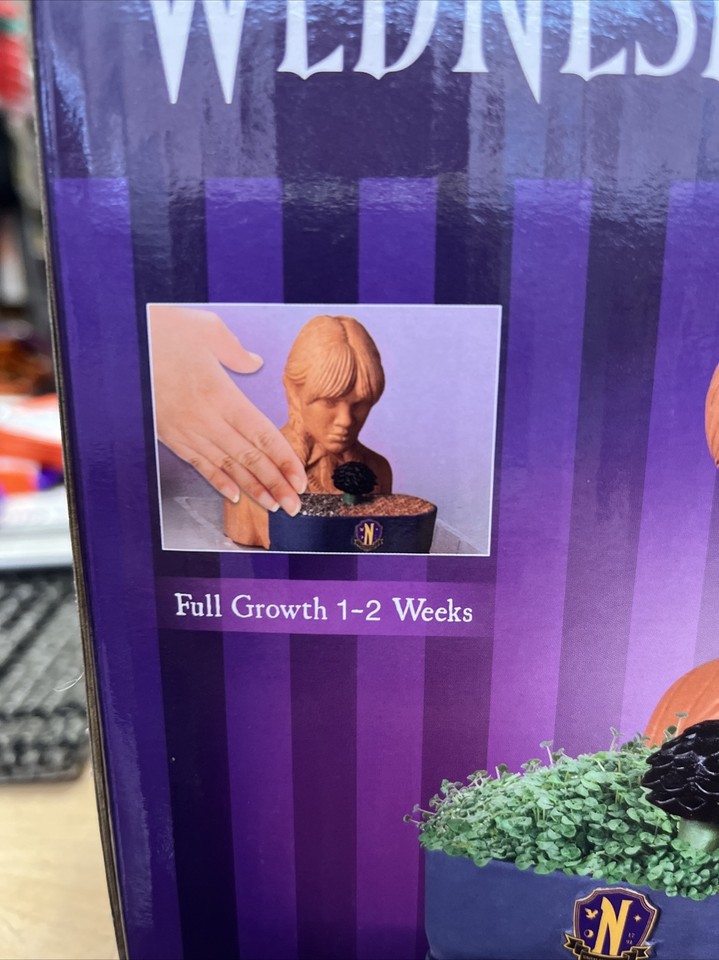 Chia Pet WEDNESDAY from the Addams Family NEW | eBay