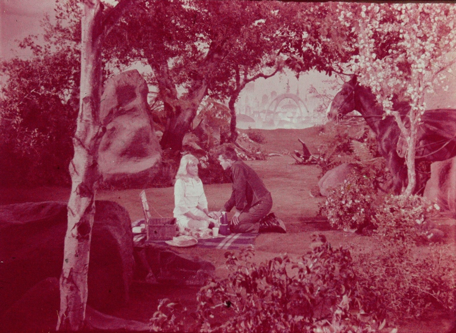 Star Trek TOS 35mm Film Clip Slide The Cage Captain Pike VINA Picnic 1. ...