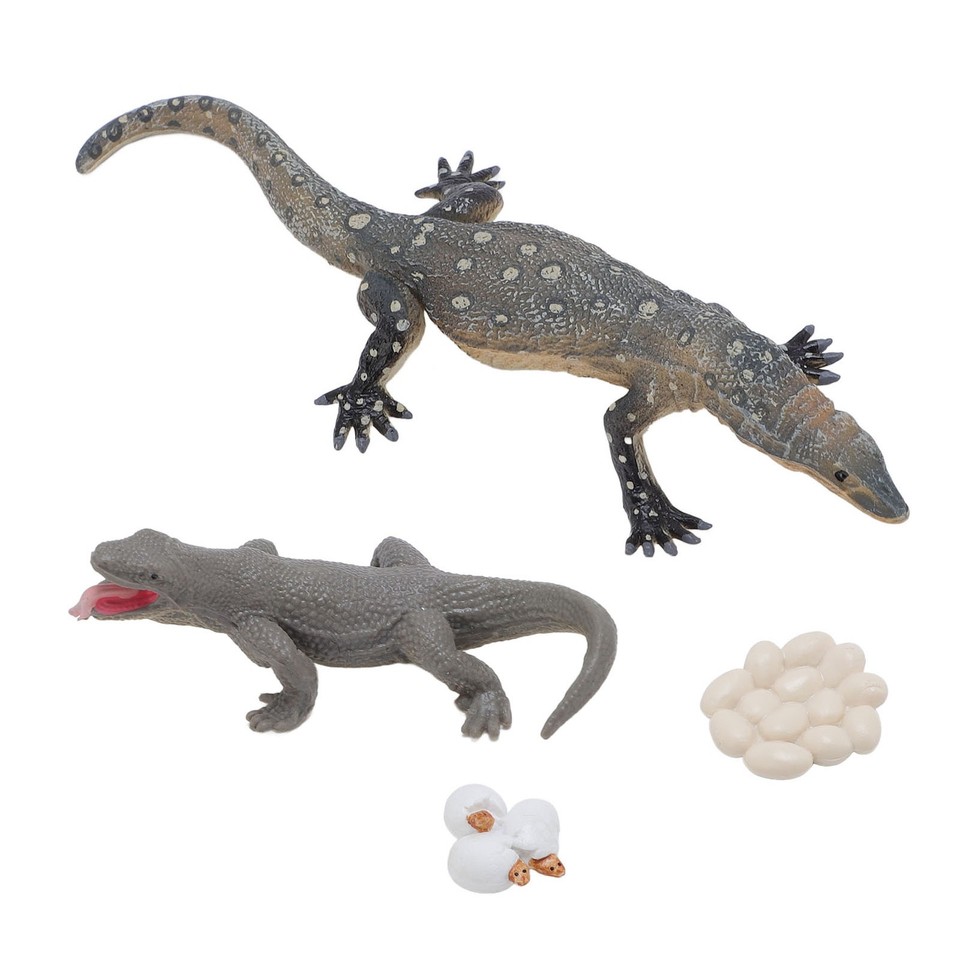 4x Lizard Life Cycle Toy PVC Realistic Educational Reptile Animal ...