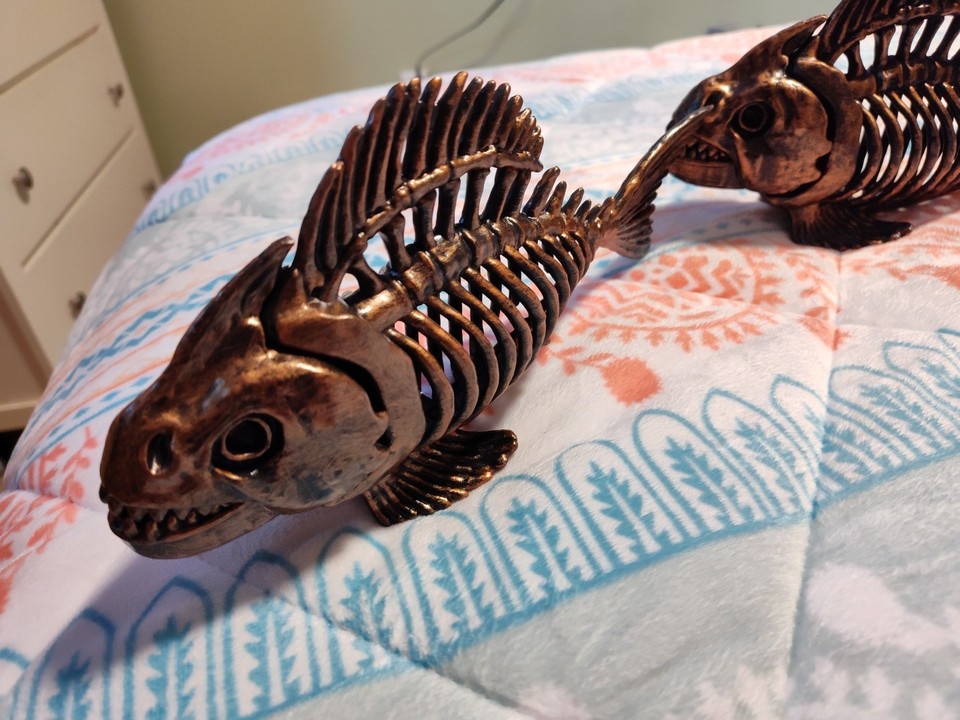 LOT OF THREE BONE FISH 161303 | eBay