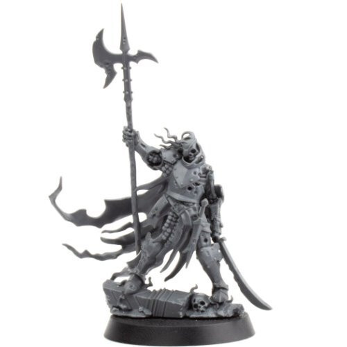 Warhammer Quest Cursed City Watch Captain Halgrim Overlord Age Of ...