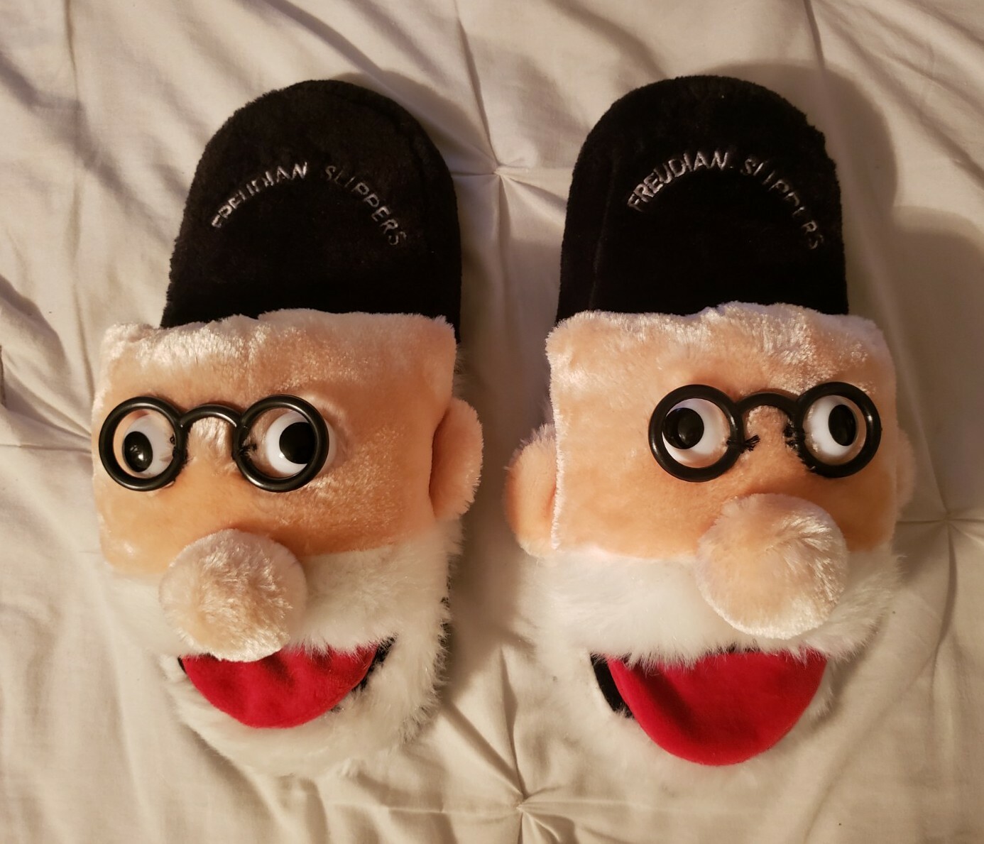 Freudian Slippers - Sigmund Freud Slippers - Famous P… - Gem