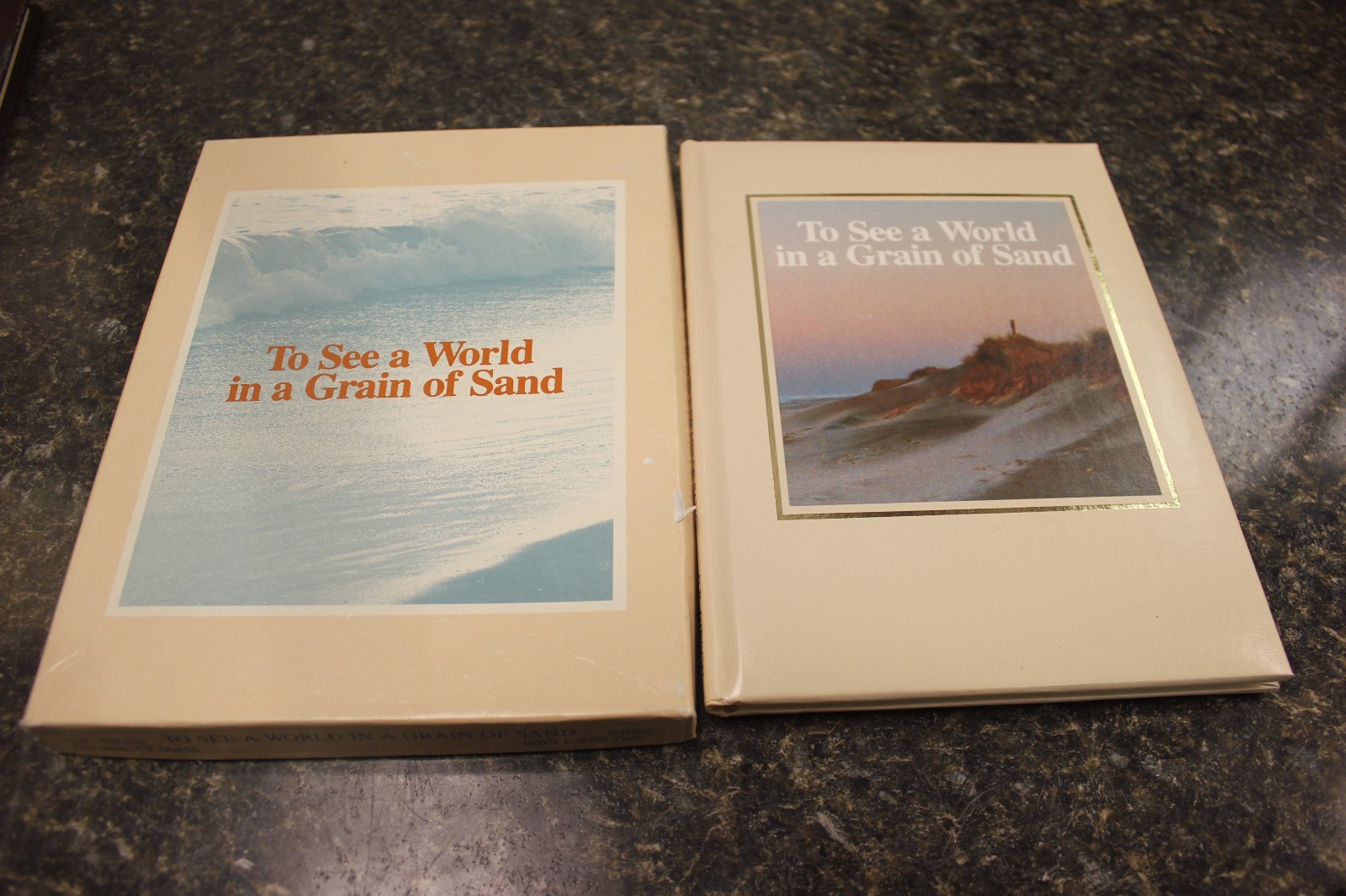 TO SEE A WORLD IN A GRAIN OF SAND BY CAESAR JOHNSON DNT LOC.BBB-1 [#4 ...