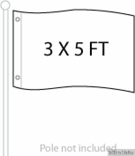 Twelve (12) Donald Trump on Tank 2024 Flags - 3' x 5' Flags - Banner w ...