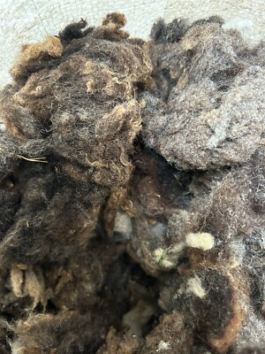 Sheep Wool slug repellent | eBay UK