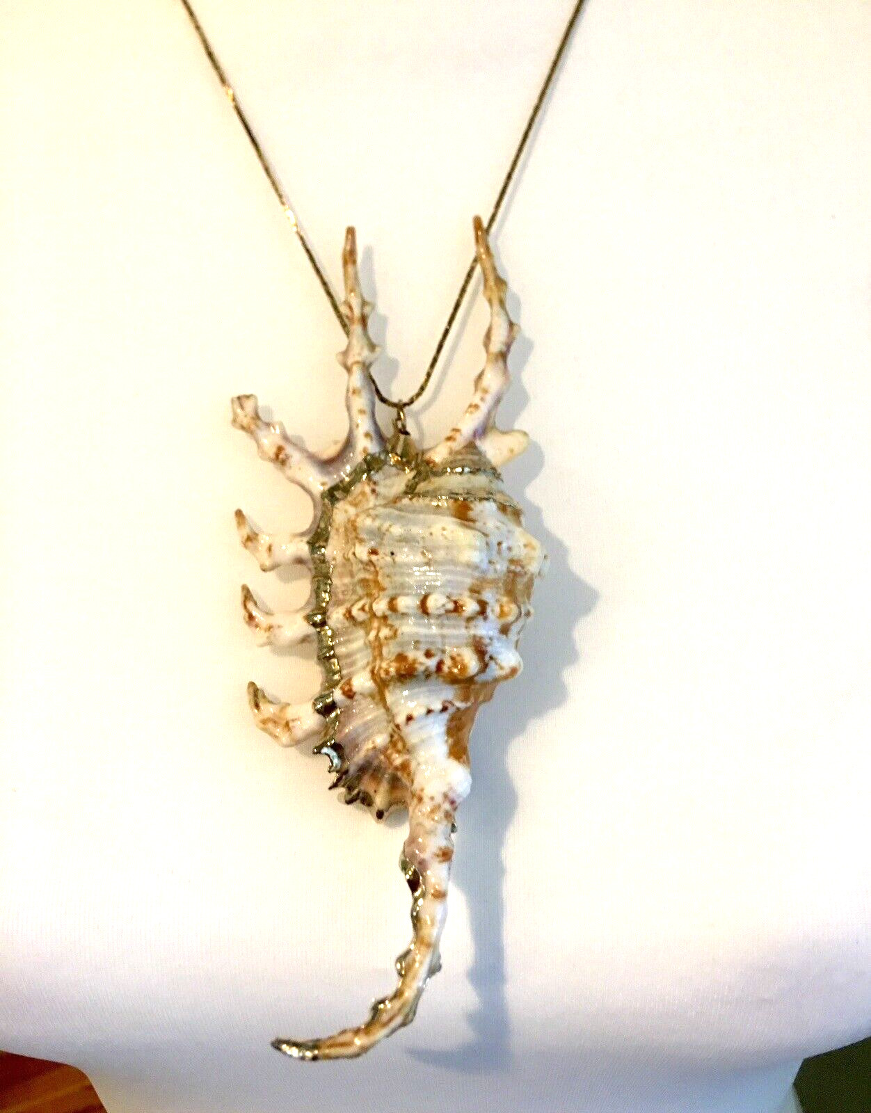 Gold Trim Scorpion Spider Conch Shell Necklace GORGEO… - Gem