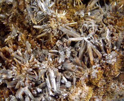 ENDLICHITE (ARSENATIAN VANADINITE) CRYSTALS - 5.9 cm -LOS LAMENTOS ...