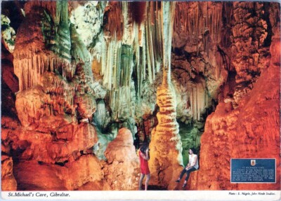 Postcard Stalagmite Soda straw Speleothem Plant Stalactite Cave Geology ...