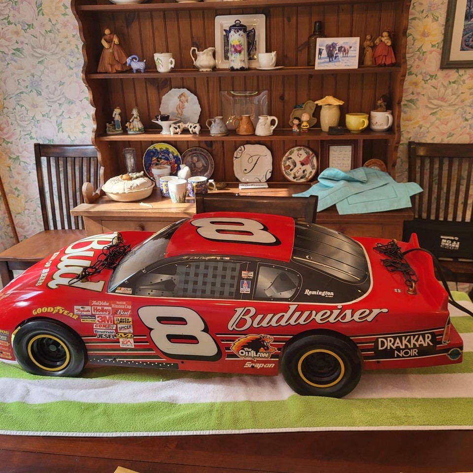 An Awesome Pool Table Light. #8 Dale Jr Car with authenticated ...