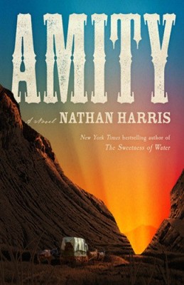 Amity by Nathan Harris [Hardback] 9780316456241| eBay