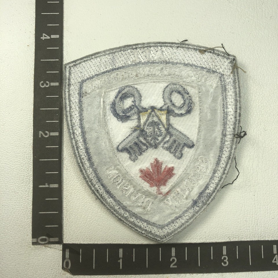 AFI INTERNATIONAL GROUP Security Division Patch Skeleton Key Scales ...