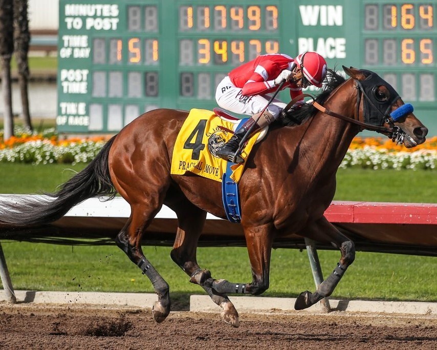 PRACTICAL MOVE 8X10 PHOTO HORSE RACING PICTURE JOCKEY | eBay