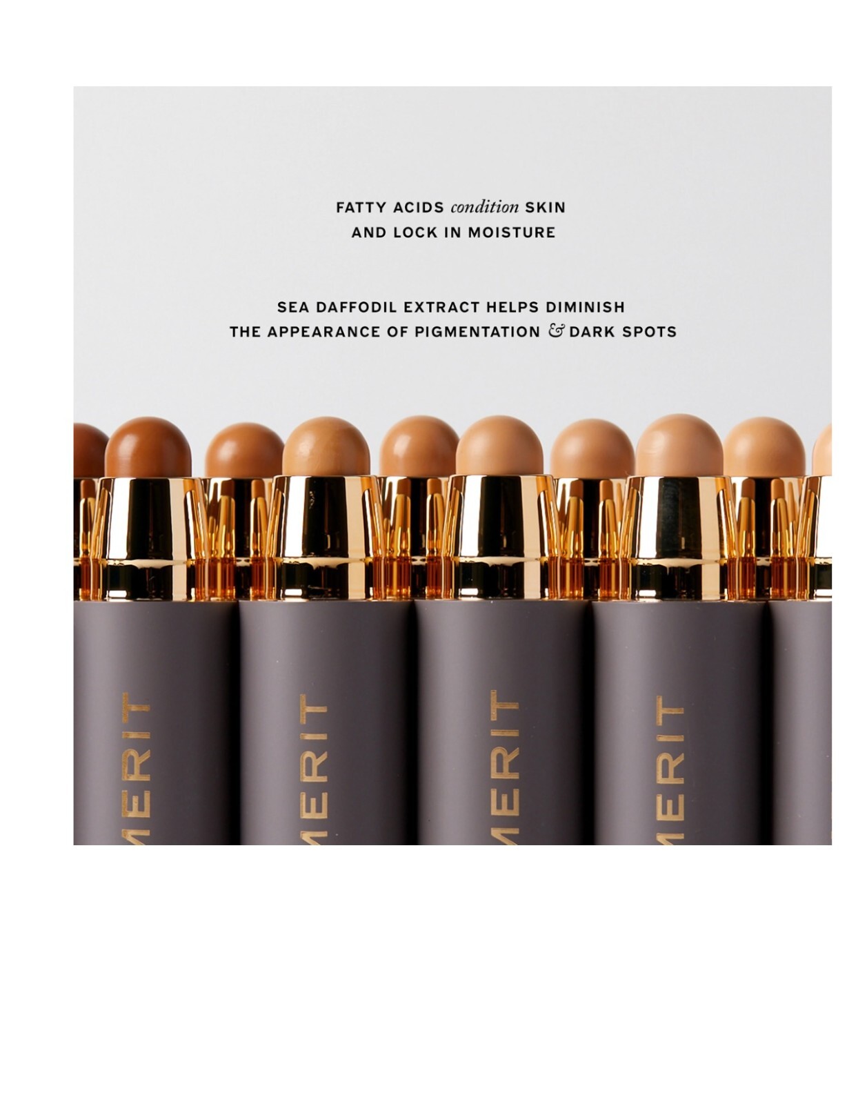 Merit The Minimalist Perfecting Complexion Foundation and Concealer ...