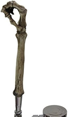 Realistic Skeleton Arm Sports Bar Beer Tap Handle Kegerator Resin ...