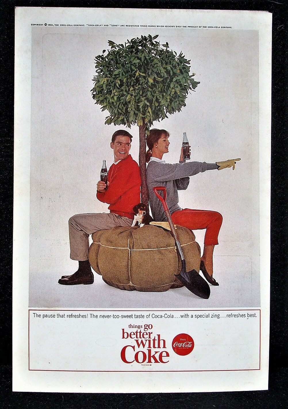 1964 Coca-Cola Couple on Root Ball Tree Puppy Dog Beagle Photo Print Ad ...