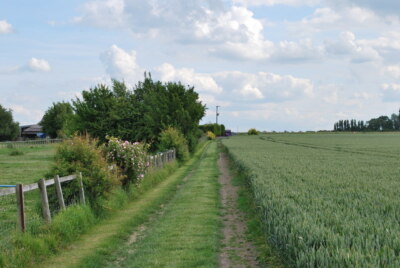 Photo 6x4 Looking South towards New Wrights Farm Burge End The track ...