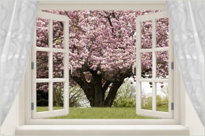 WINDOW into CHERRY TREE beautiful spring INSPIRATIONAL photo poster ...