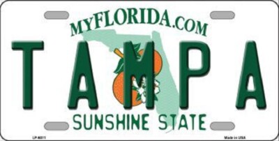 TAMPA FLORIDA SUNSHINE STATE METAL NOVELTY LICENSE PLATE TAG | eBay