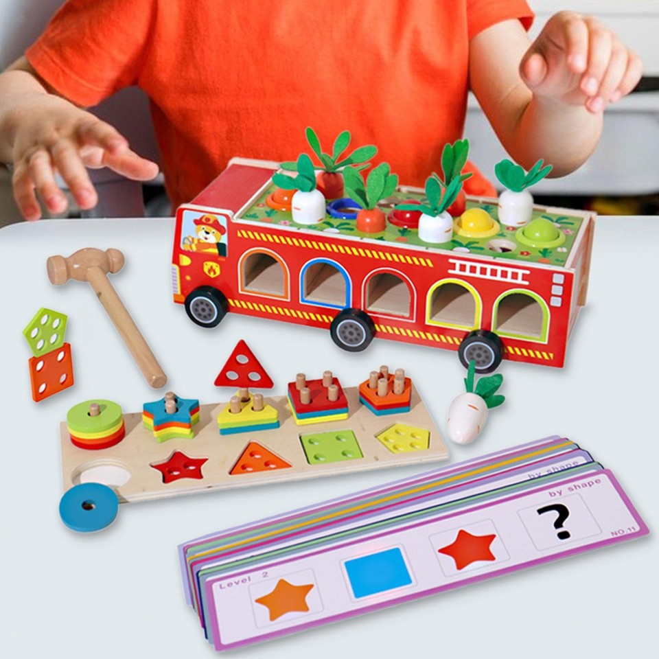Montessori Toys Early Educational Shape Matching Recognition for Baby ...