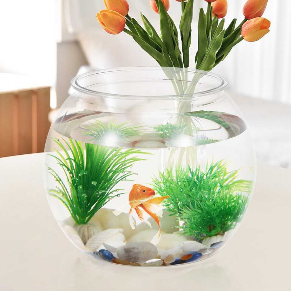 Large Fish Bowl Fishbowl Helmet Guppy Goldfish Aquarium Glass | eBay