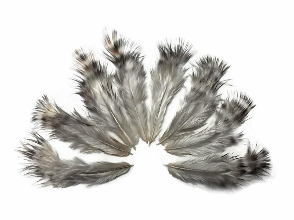 1 Dozen - Unique Grizzly Rooster Chickabou Fluff Mini Feathers | eBay