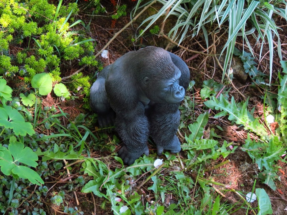 SILVERBACK GORILLA FIGURE, Life Like Home & Garden Ornament. Vivid Arts ...