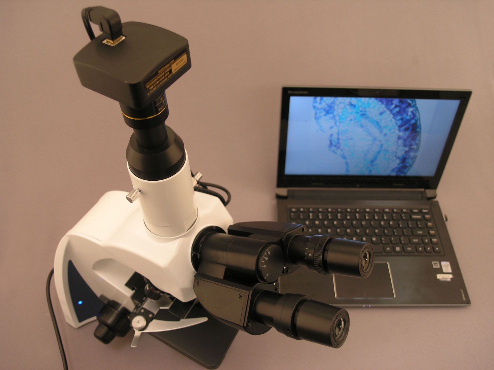 AmScope 40X-1000X Professional Infinity Trinocular Compound LED ...