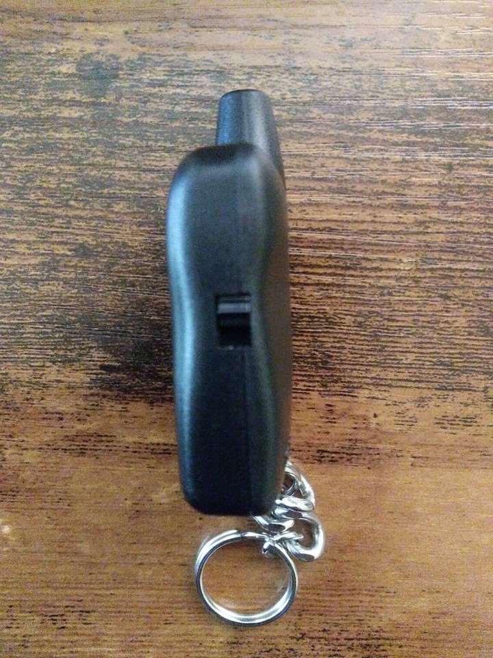 Excalibur Lonestar alarm remote | eBay
