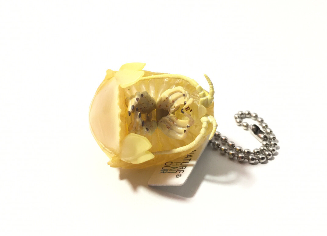 Kitan Club Japan Nature Techni Color Juvenile Isopod Keychain SP Secret ...