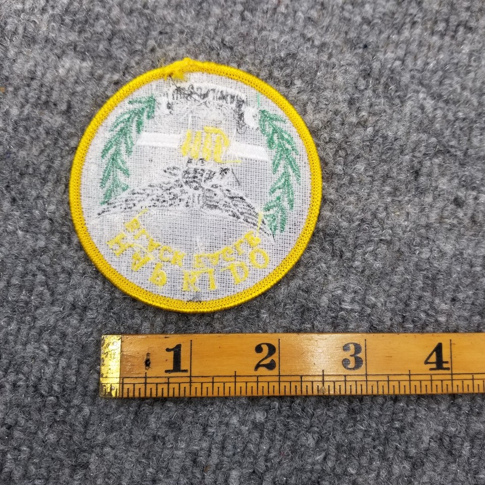 Hapkido Black Eagle Martial Arts Patch | eBay