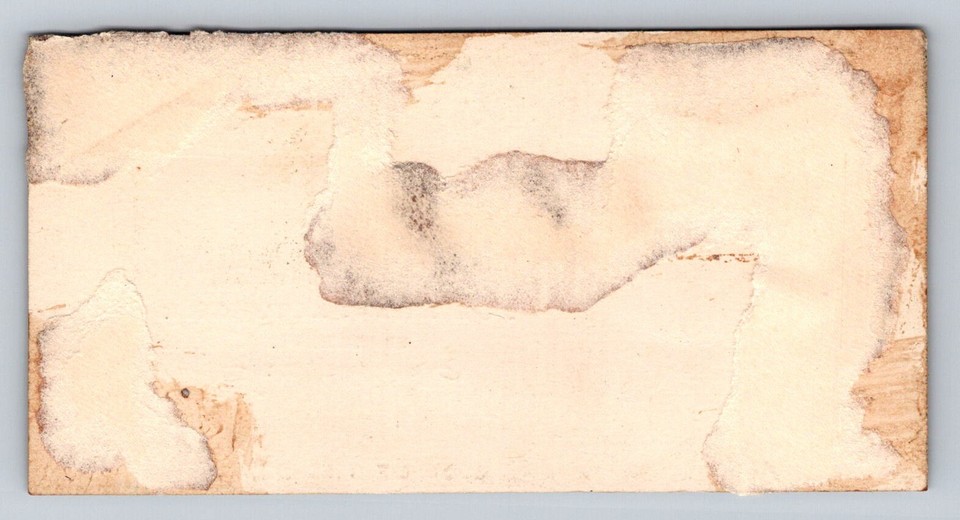 Odenbach Shale Fur Manufacturer People Pull Sleigh Geese Rochester New ...