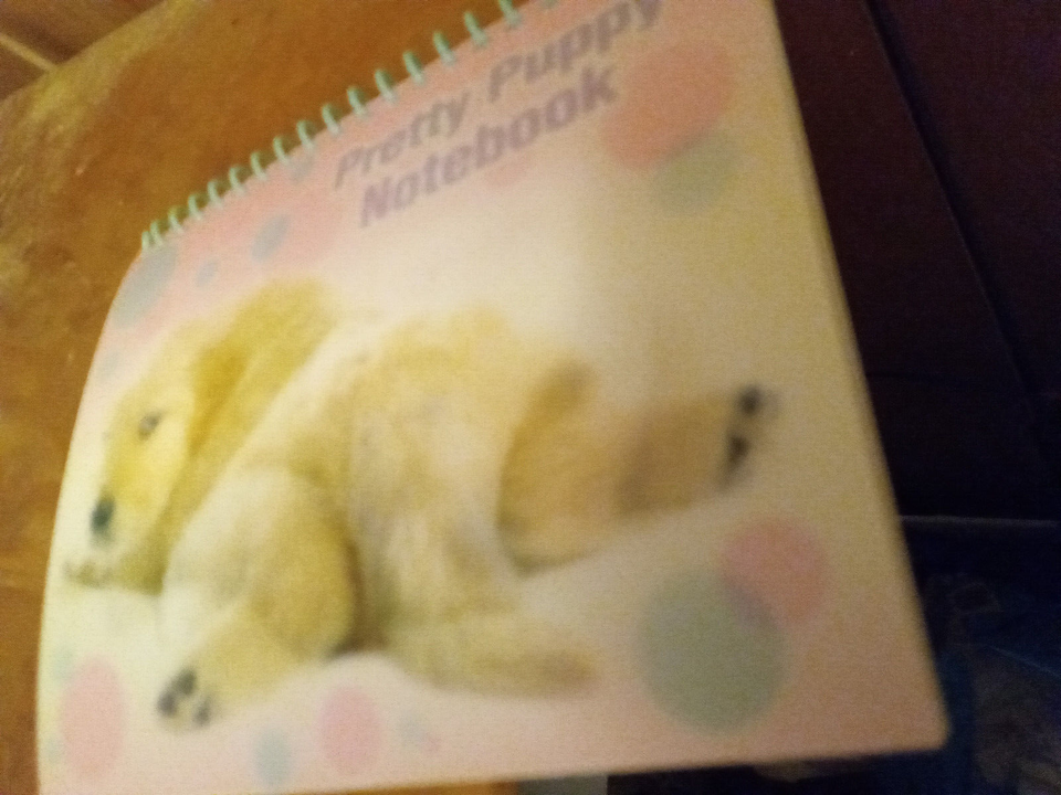 PRETTY PUPPY NOTE BOOK PLUS THREE LISA FRANK MINI NOTEBOOKS | eBay
