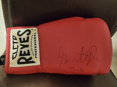 Gervonta Davis Tank signed Boxing Glove Cletto Reyes | eBay