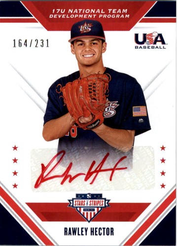 2020 USA Baseball Stars Stripes 17U Development Program Rawley Hector ...