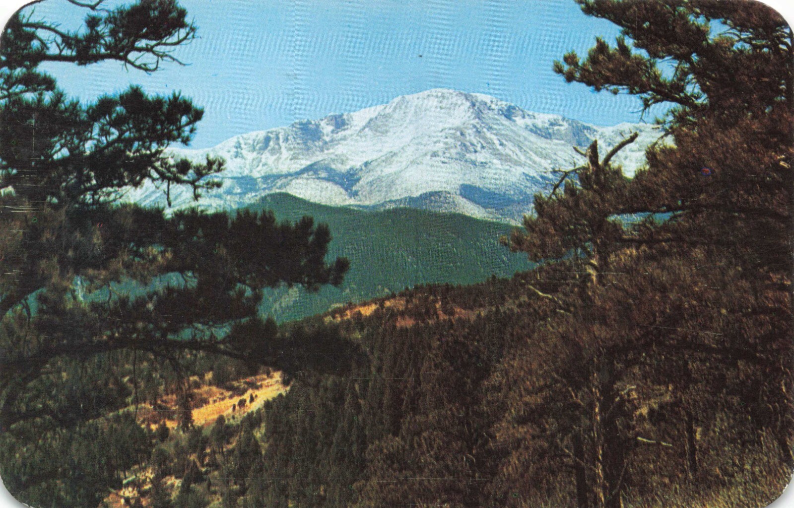 Postcard CO Pikes Peak Rampart Range National Forest Trees Rocky ...