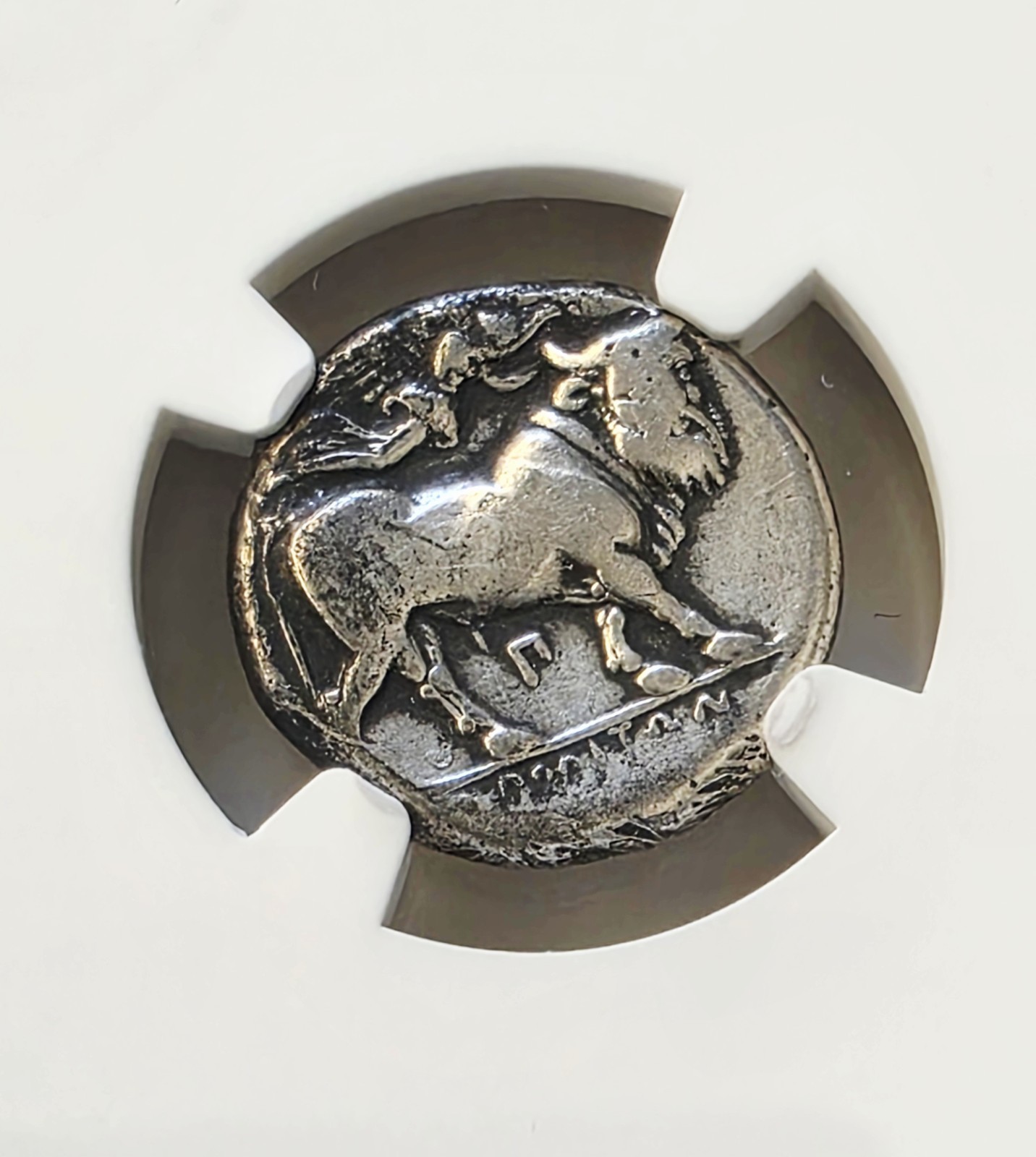Campania Neapolis Didrachm Man-Bull NGC Fine Ancient Silver Coin | eBay