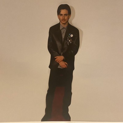 Timothee Chalamet Cardboard Cutout *NOT LIFESIZED, NO REFUNDS OR ...