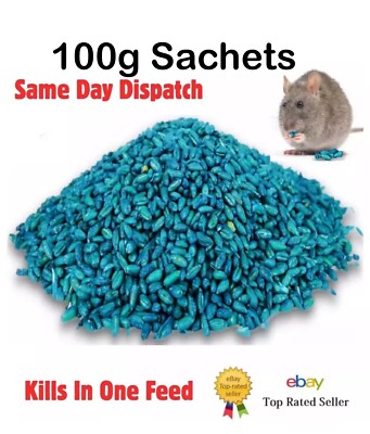 RAT MOUSE POISON BAIT MAX STRENGTH RODENT KILLER GRAIN 100 GRAM - 1 KG ...