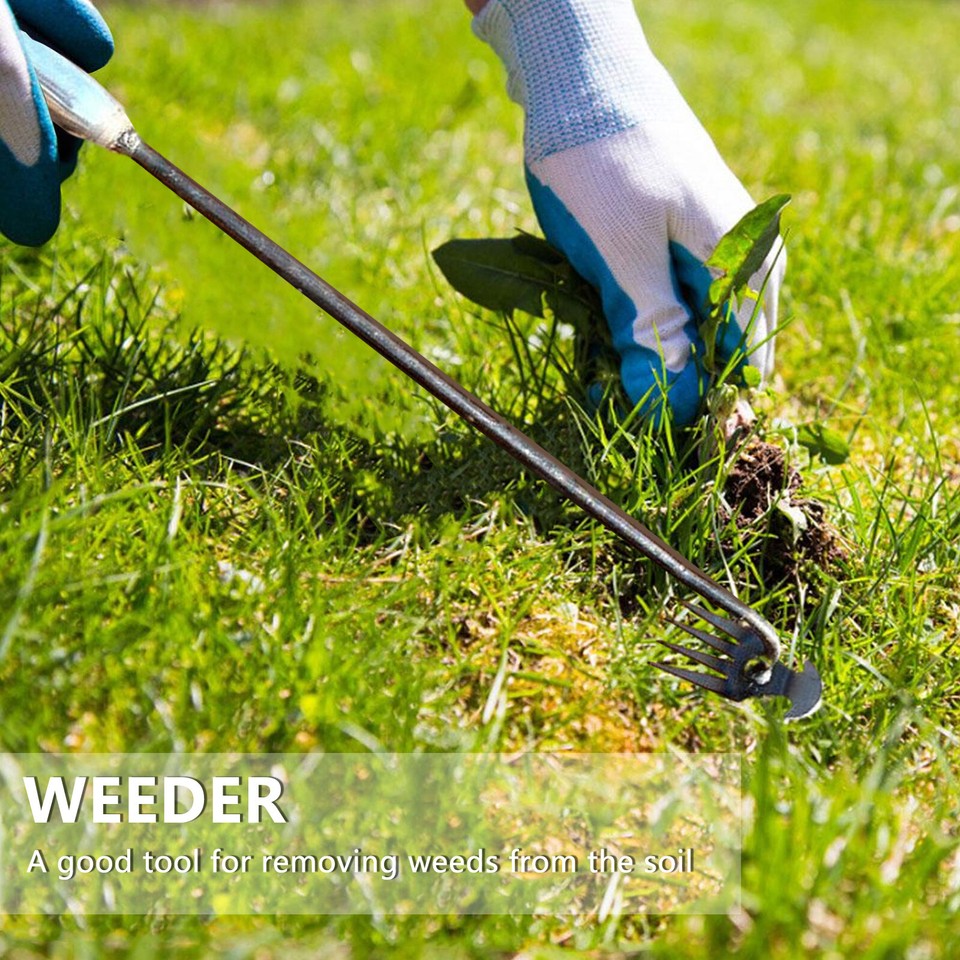 Weed Digger Hand Weeder Tool with Long Handle for Yard Lawn Farmhouse ...