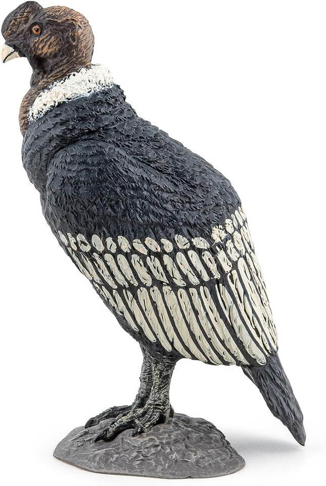 Papo Wild Animal Kingdom Condor Toy Figure Three Years And Above Black ...