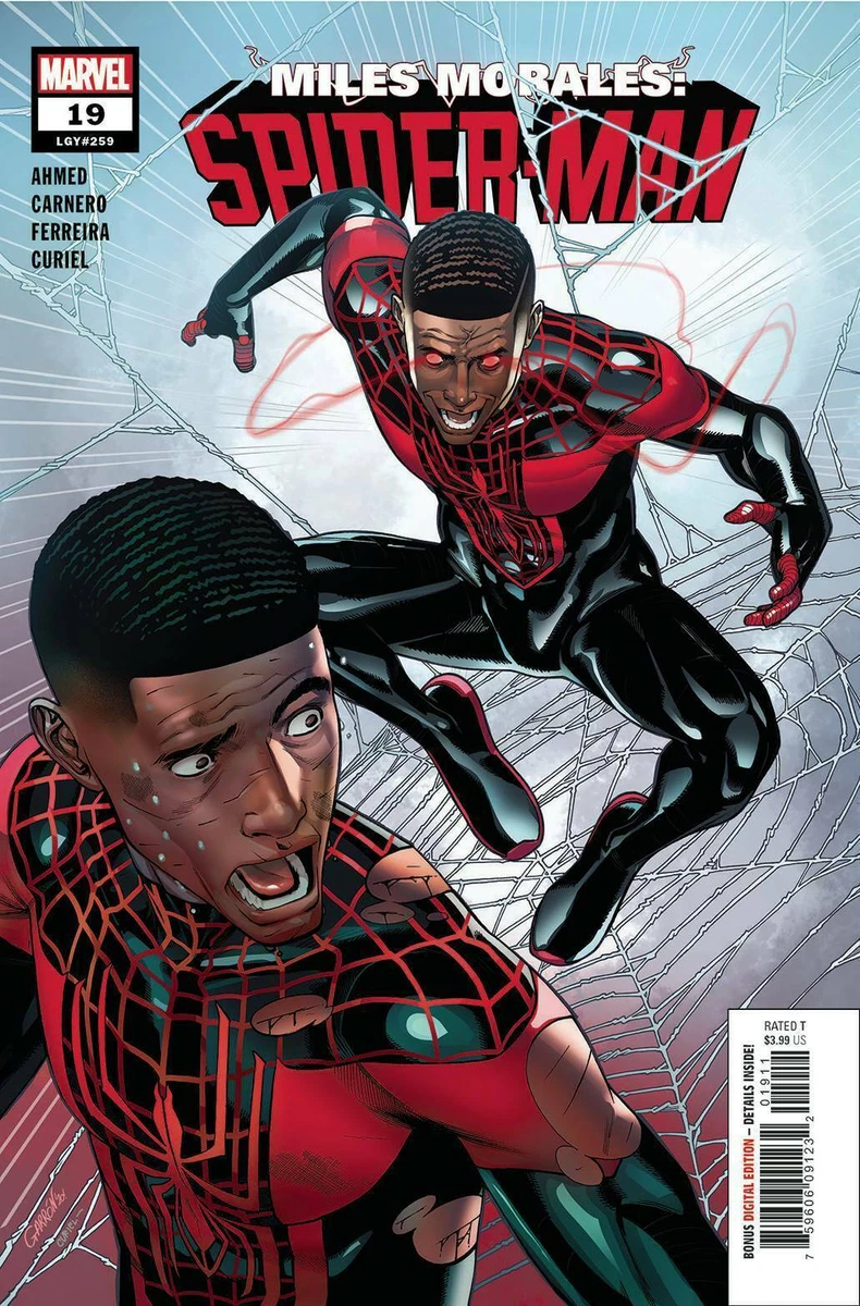 Evil Spider Man