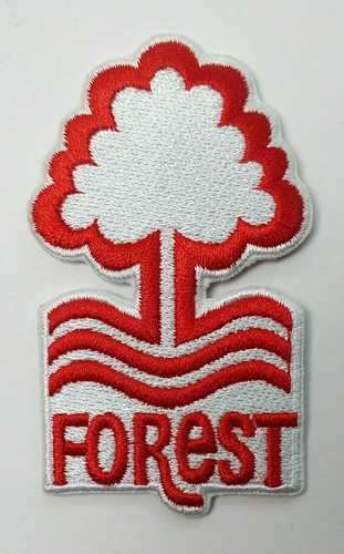 League One Nottingham Forest legend football embroidered patch | eBay