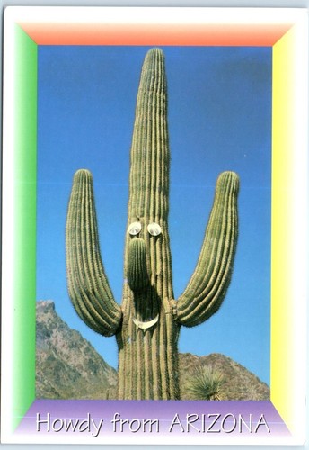 Postcard - Howdy From Arizona | eBay